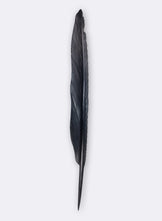 Point Chev Tui Feather 2140mm - Black Kauri – The Poi Room Ltd