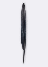 Point Chev Tui Feather 2140mm - Black Kauri – The Poi Room Ltd