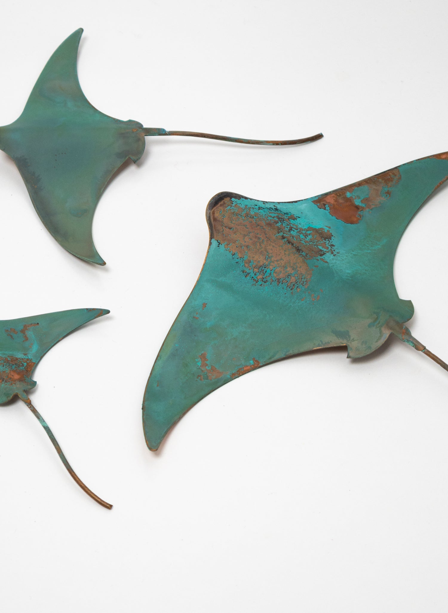 Stingray - Set of 3 #3 – The Poi Room Ltd