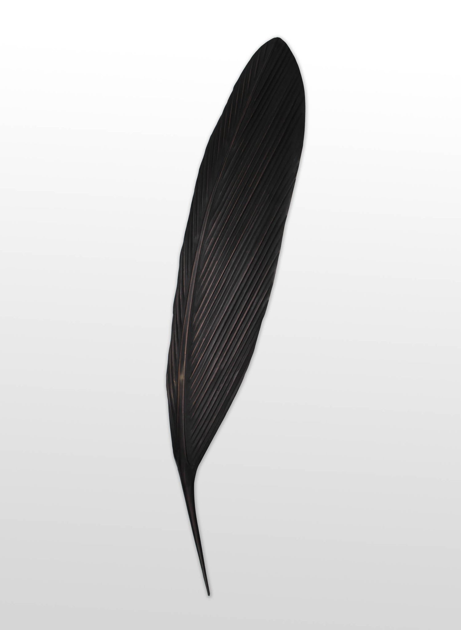Tui Copper Feather 1265mm – The Poi Room Ltd