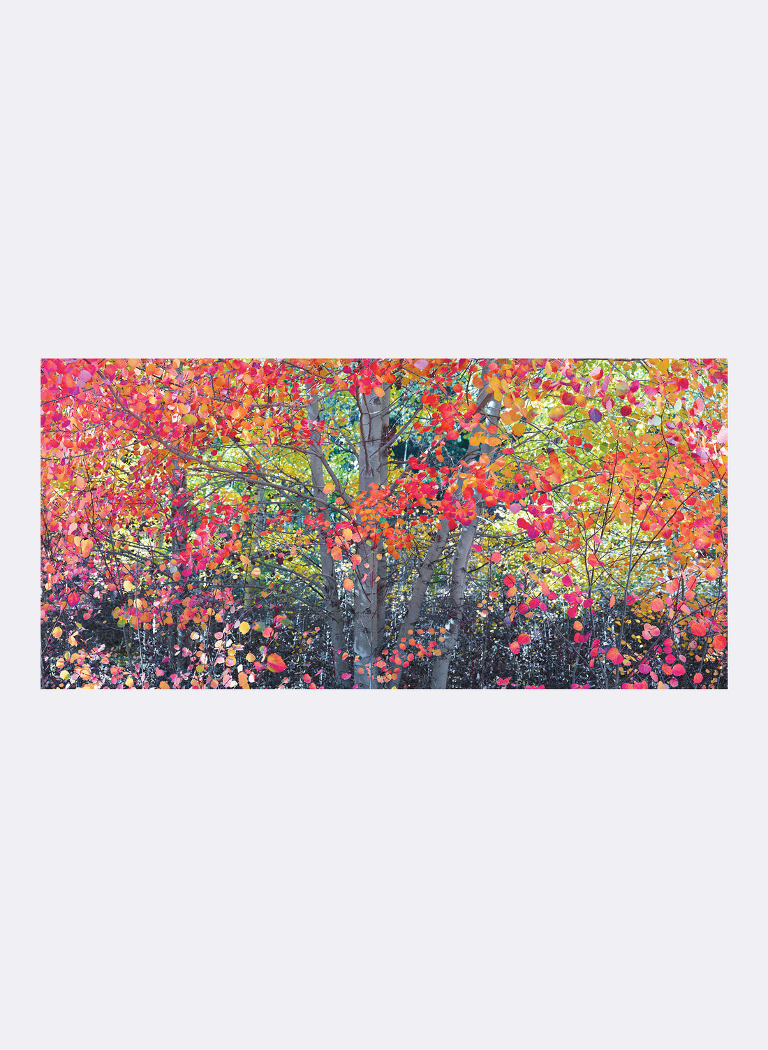 Raining Jewels - Photographic Print – The Poi Room Ltd